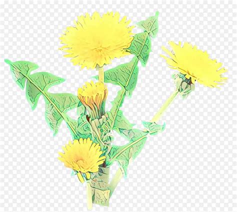 卡通 花卉 蒲公英PNG图片素材下载 图片编号6945935 PNG素材网