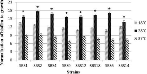 Normalization Of Azotobacter Biofilms Od570 To Total Bacterial Growth