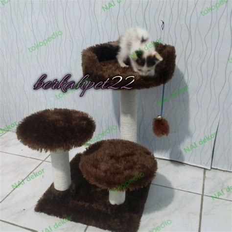 Jual Cakaran Kucing Kitten 3 Tiang Sofa Di Seller Suzuka Cengkareng