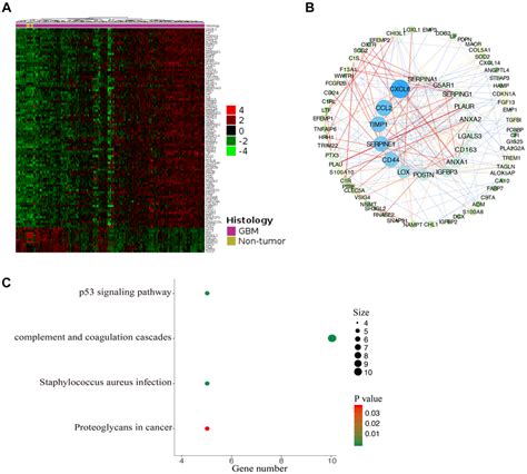 The Novel Roles Of Virus Infection Associated Gene Cdkn1a In Chemoresistance And Immune
