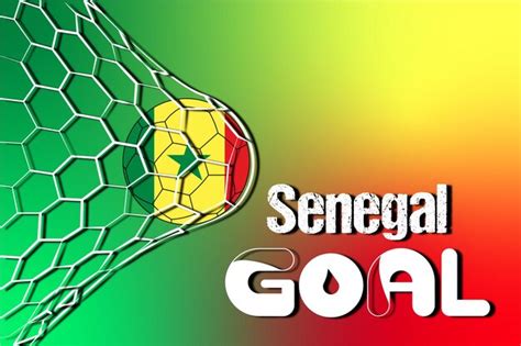 그물에 세네갈 축구 공입니다 2022 카타르 월드컵 프리미엄 벡터