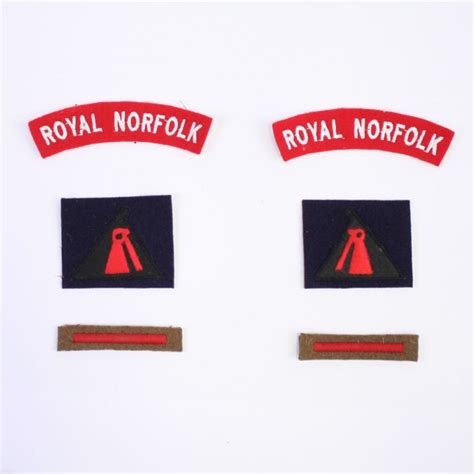 7th Royal Norfolk Reg 59th Staffs Div Badge Set