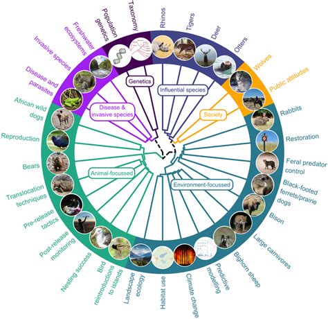 Hierarchical Cluster Dendrogram Fan Plot Showing The Similarities