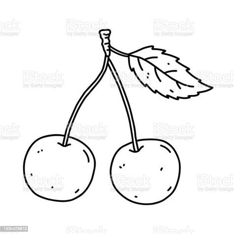 흰색 배경에 고립 된 체리 유기농 건강 식품 낙서 스타일의 벡터 손으로 그린 일러스트레이션 카드 로고 장식 조리법 다양한 디자인에 적합합니다 0명에 대한 스톡 벡터 아트 및