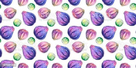 흰색 배경에 수채화 무화과의 원활한 패턴 손으로 그린 밝은 배경 질감 베리의 이미지 스케치 스타일의 과일 초대장 스크랩북 식품 디자인용 건강한 식생활에 대한 스톡 벡터 아트