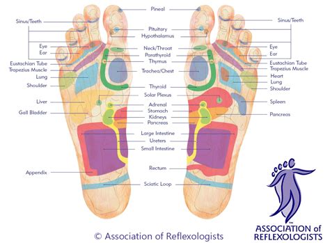 Reflexology Leeds Healing West Yorkshire Sue Haynes