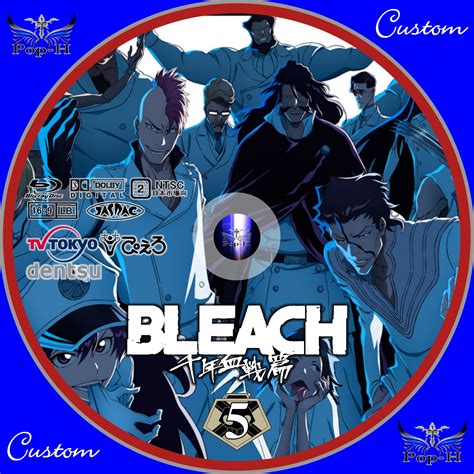Bleach 千年血戦篇 ※ピクチャーレベ追加 Pop H円盤衣装（カスタムレーベル）