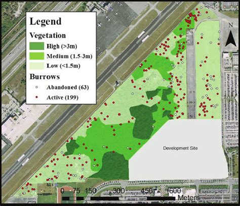 The Spatial Distribution Of Gopher Tortoise Burrows In Different Download Scientific Diagram