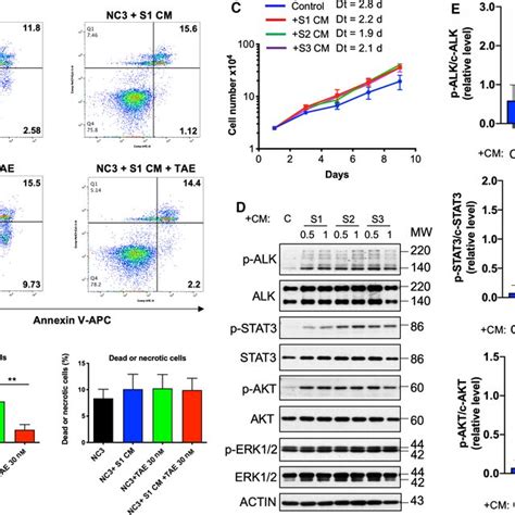 Cellular Heterogeneity Of Sk‐n‐sh Cell Line A Gene Expression Download Scientific Diagram