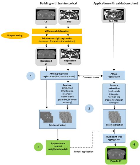 Patch Based Method Workflow For Pseudo Ct Generation The Building Part Download Scientific