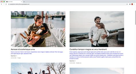 Styling The Excerpt Text 70 71 Ce And 71 Fe Summary Block Wall
