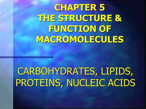 Ppt Structure And Function Of Macromolecules Carbohydrates Lipids