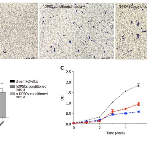 Dental Pulp Stem Cells Can Differentiate Into Neural Like Cells And