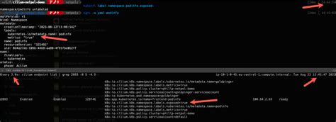 `k8s io cilium k8s namespace labels ` are not removed from cep when the label is removed from