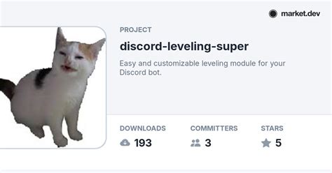 Discord Leveling Super Ecosystem Directory Marketdev