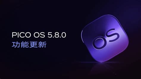 Pico 开发者平台