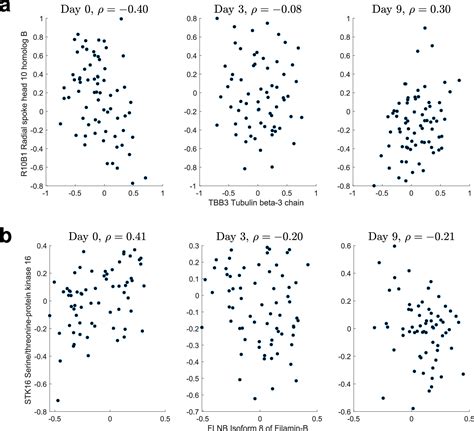 Dynamics Of Single Cell Protein Covariation During Epithelial