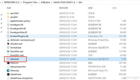 Intellj Idea无法启动 Csdn博客