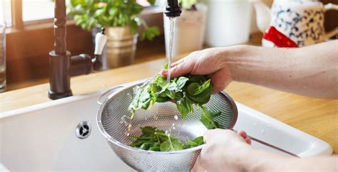 Consejos Para Reducir Tu Consumo De Agua En Casa A La Mitad