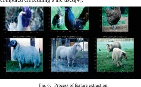 Figure 1 From Retroflex Uncovering Visual Equivalences Through Reverse Image Recon Semantic