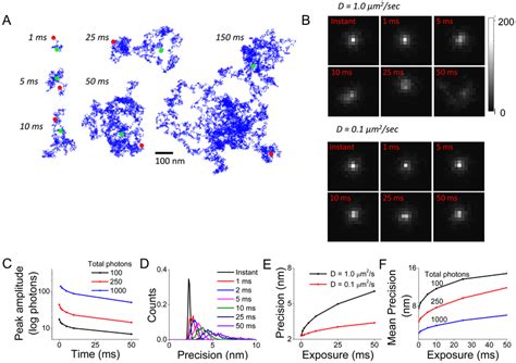 Effect Of Motion During Image Acquisition On Single Molecule Photon