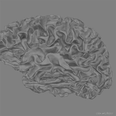 Python Mne 源空间和正模型04：头模型和前向计算mne怎么构建一个bem模型 Csdn博客