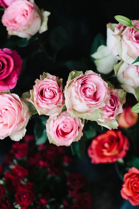 Tumblr Mvwetae L S Mw Ko