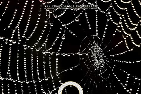 Premium Psd Vector Abstract Big Data Visualization Grayscale Glowing Data Flow As Binary