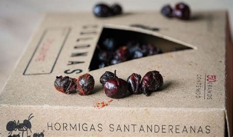 Más Allá De Las Hormigas Culonas Estos Son Los Insectos Que Se Comen