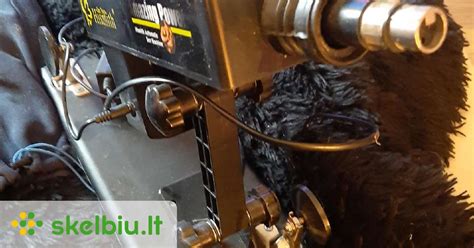 Sex Masina Skelbiu Lt