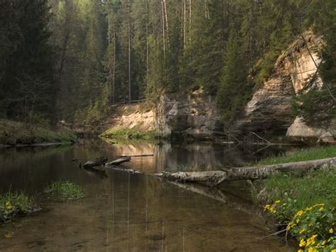 Пин от пользователя Ekaterina Mi на доске Природа в 2024 г Пейзажи Природа Живопись