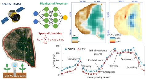 Remote Sensing Free Full Text Monitoring Biophysical Variables Fvc Lai Lcab And Cwc And