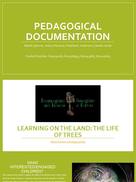 Pedagogical Documentation Assignment Pdf Life Nature