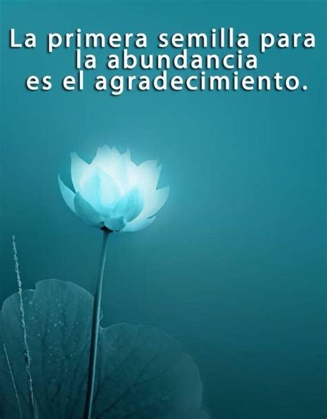 Cuestión De Fé Cuestión De Amor Fotos Frases De Agradecimiento Imagenes De