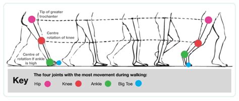 Mindful Walking To Beat Foot Hip And Knee Pain Regenexx® At New