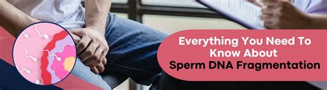 Sperm Dna Fragmentation Everything You Need To Know About