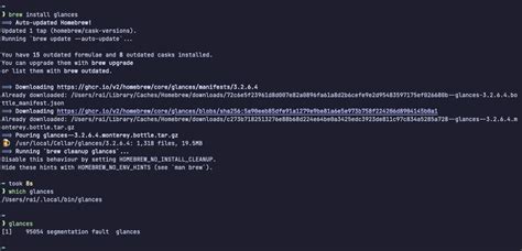 Segmentation Fault On Startup Macos · Issue 2092 · Nicolargoglances