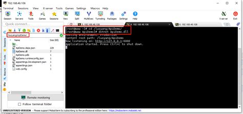 net core web api部署到Linux系统CentOS Ocean Luo 博客园