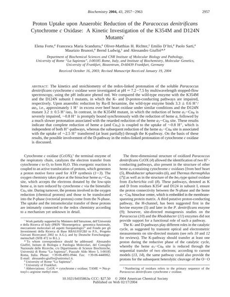 Pdf Proton Uptake Upon Anaerobic Reduction Of The Paracoccus Denitrificans Cytochrome C