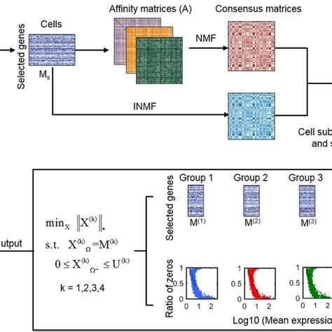 overview of pblr given a gene expression matrix m as input pblr