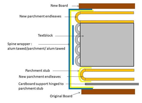 Cross Section Of The Binding Layers And The Spine Wrapper Download Scientific Diagram