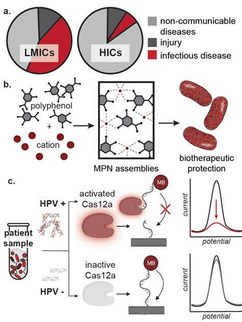 Human Health Detecting And Treating Infectious Disease Furst Lab