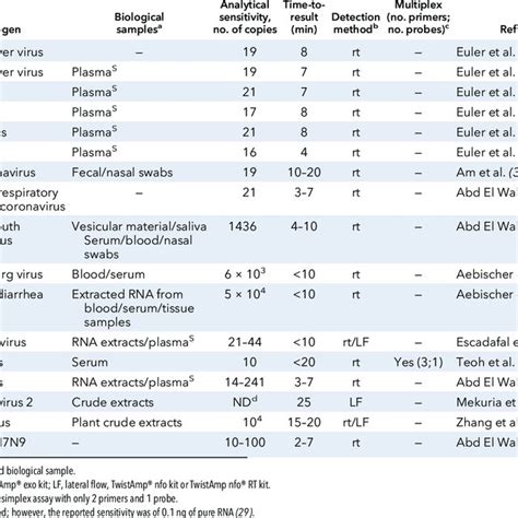 RPA Probes Real Time Detection A RPA Exo Probe B RPA Fpg Probe