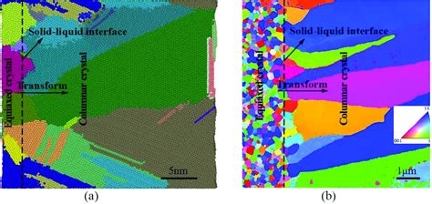 Comparison Of The Simulated Solidification Microstructure Of The Molten Download Scientific