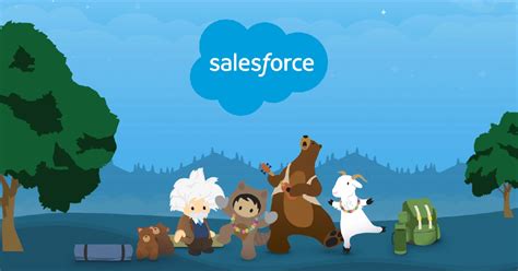 Salesforce Managed Services A Clever Solution For Smbs