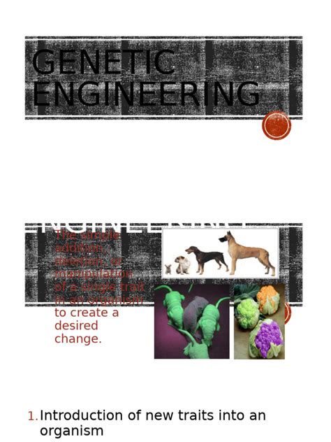 Genetic Engineering Pdf Molecular Cloning Genetic Engineering