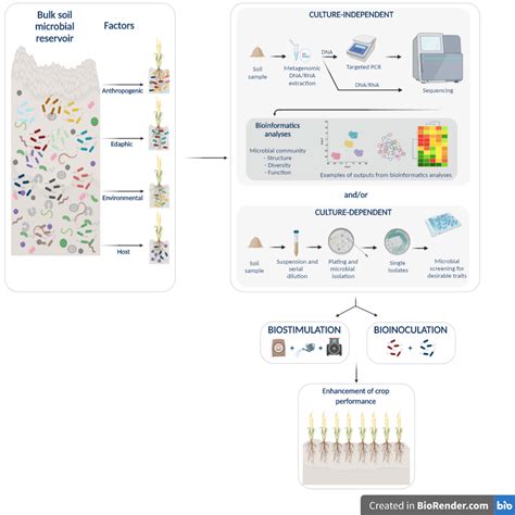 Pdf Defining The Wheat Microbiome Towards Microbiome Facilitated Crop Production