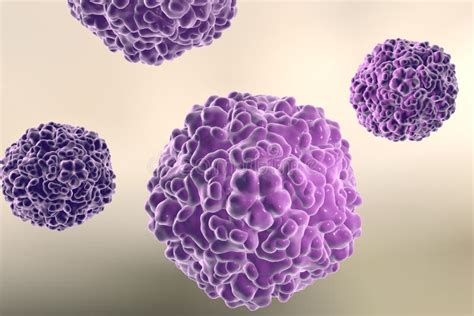 The Structure Of The Enterovirus Stock Vector Illustration Of Chemical Microbiology 98127377