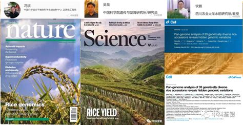 会议预告 分子设计育种报告从冬至延期至腊八举行 上海中科荃银分子育种技术有限公司