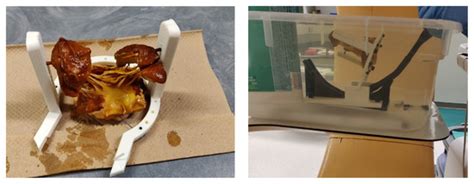 Applied Sciences Special Issue Emerging Techniques In Imaging Modelling And Visualization